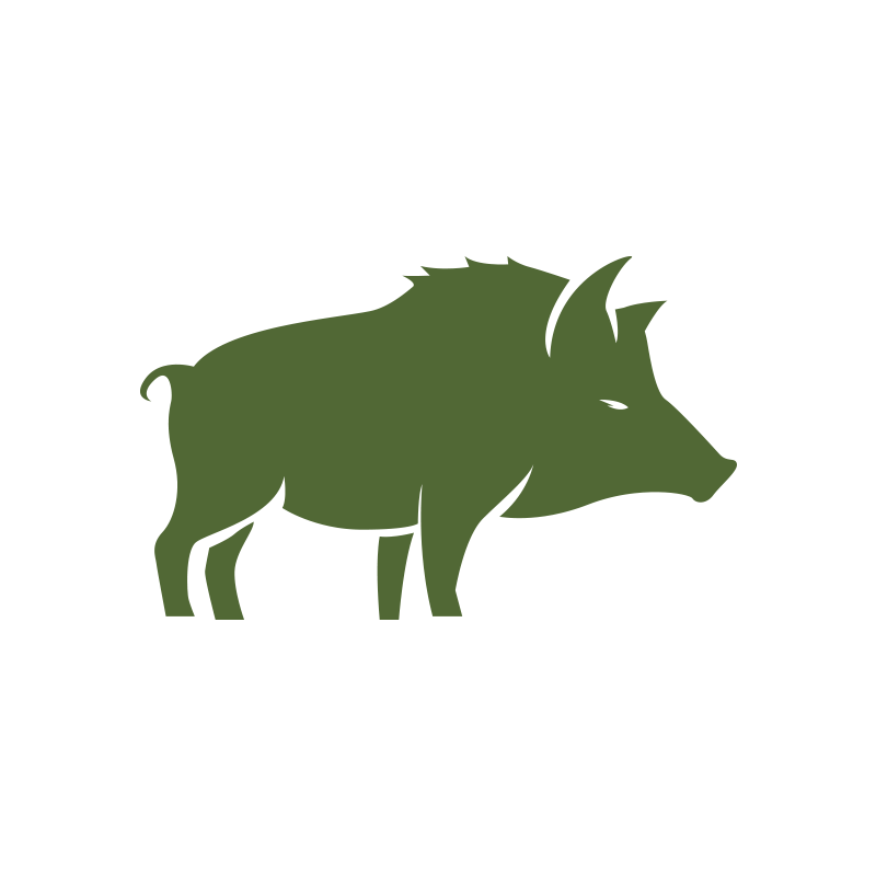 Boss Hog | High Country Genetics